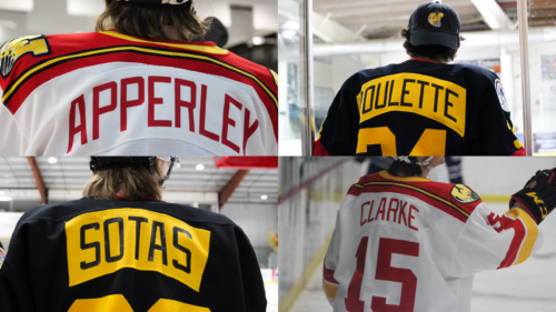 Wolverines 2022-23 Jersey auction | Waywayseecappo Wolverines